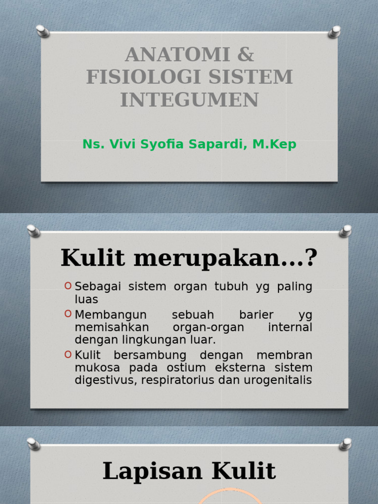 ANFIS SISTEM INTEGUMEN | PDF