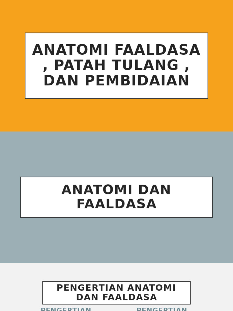 Anatomi Faaldasa, Patah Tulang Dan Pembidaian | PDF