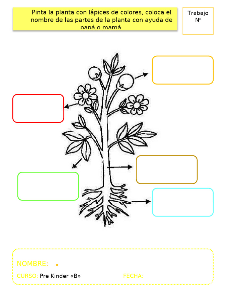 Tarea Pre Escolar n6 | PDF