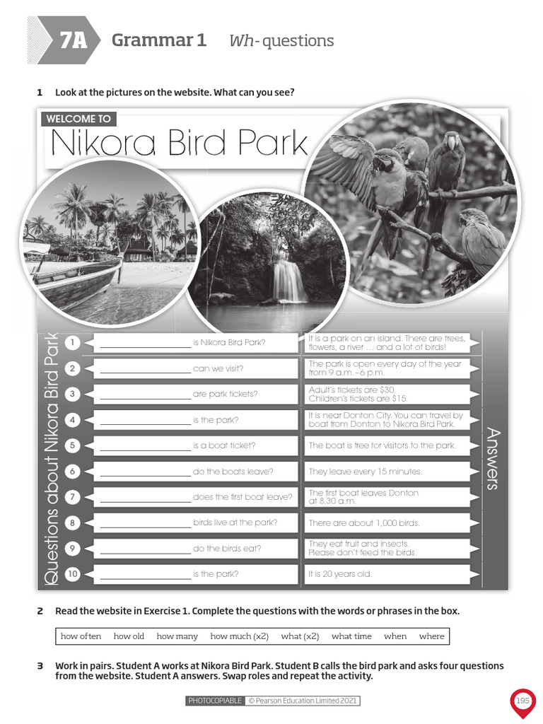 RM_A1_PC_7A_Grammar1 | PDF | Birds | Ornithology