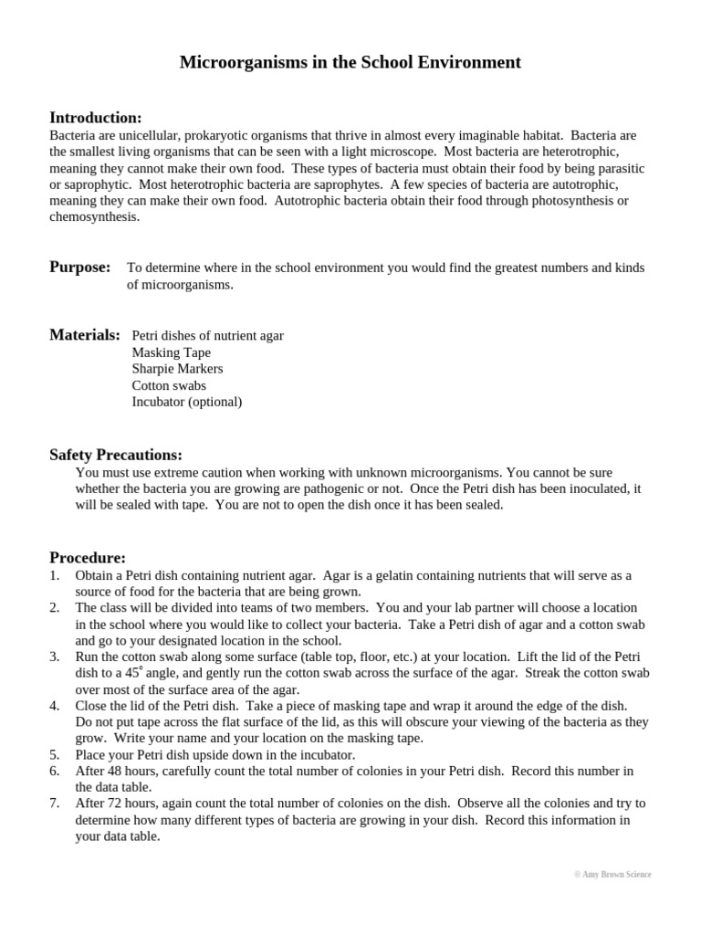 Lab Microorganisms in School | PDF | Bacteria | Agar