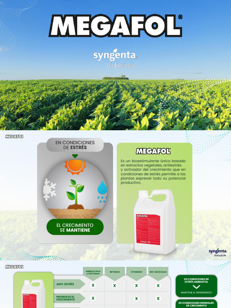 Folleto Presentacion Megafol 2024 | PDF | Metabolismo | Aminoácidos