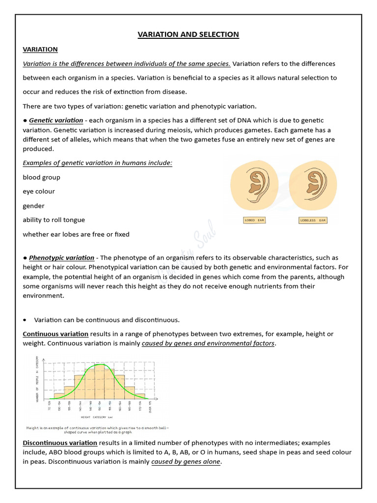 Variation, Mutation, and Natural Selection | PDF | Mutation | Genetic ...