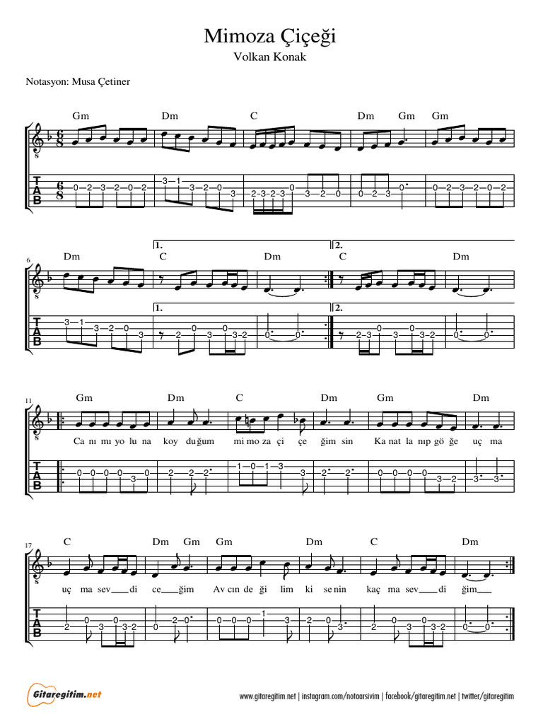 mimoza_cicegi_nota | PDF