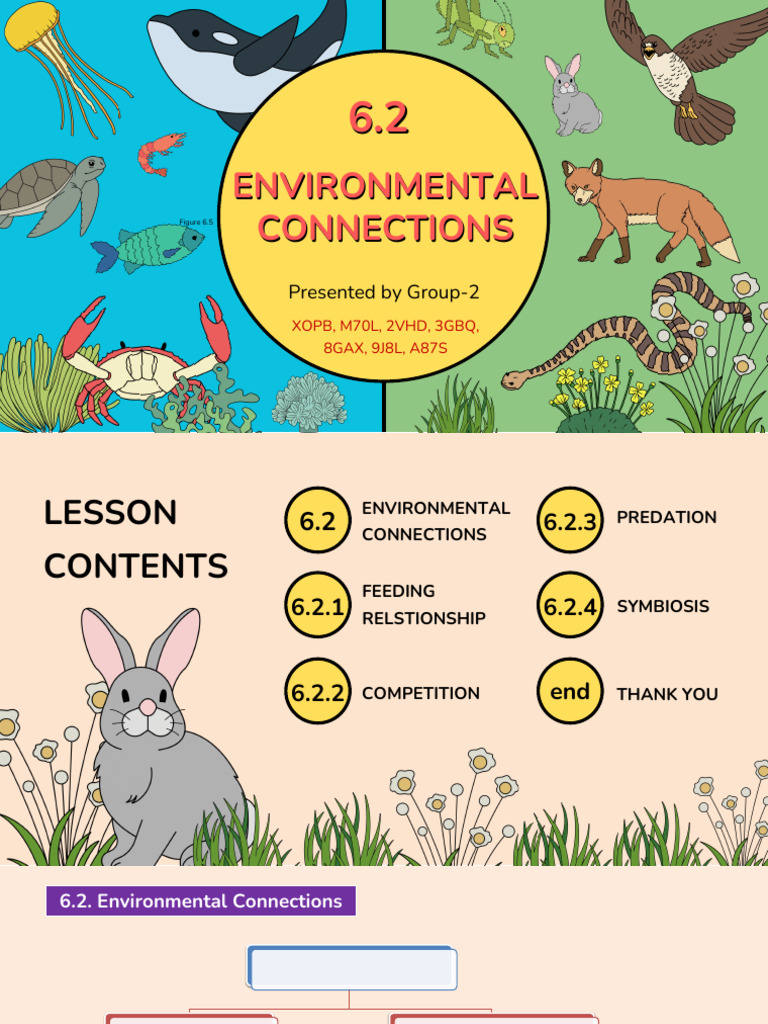 6.2 Environmental Connections (Group-2) | PDF | Food Web | Ecosystem