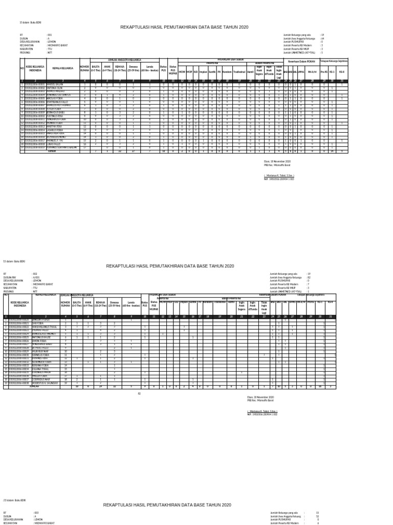 Format Rekapan DESA LEMON | PDF