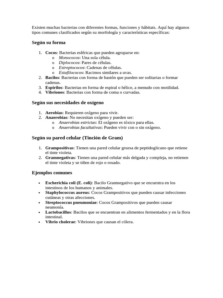 Tipos de Bacterias: Morfología y Funciones | PDF