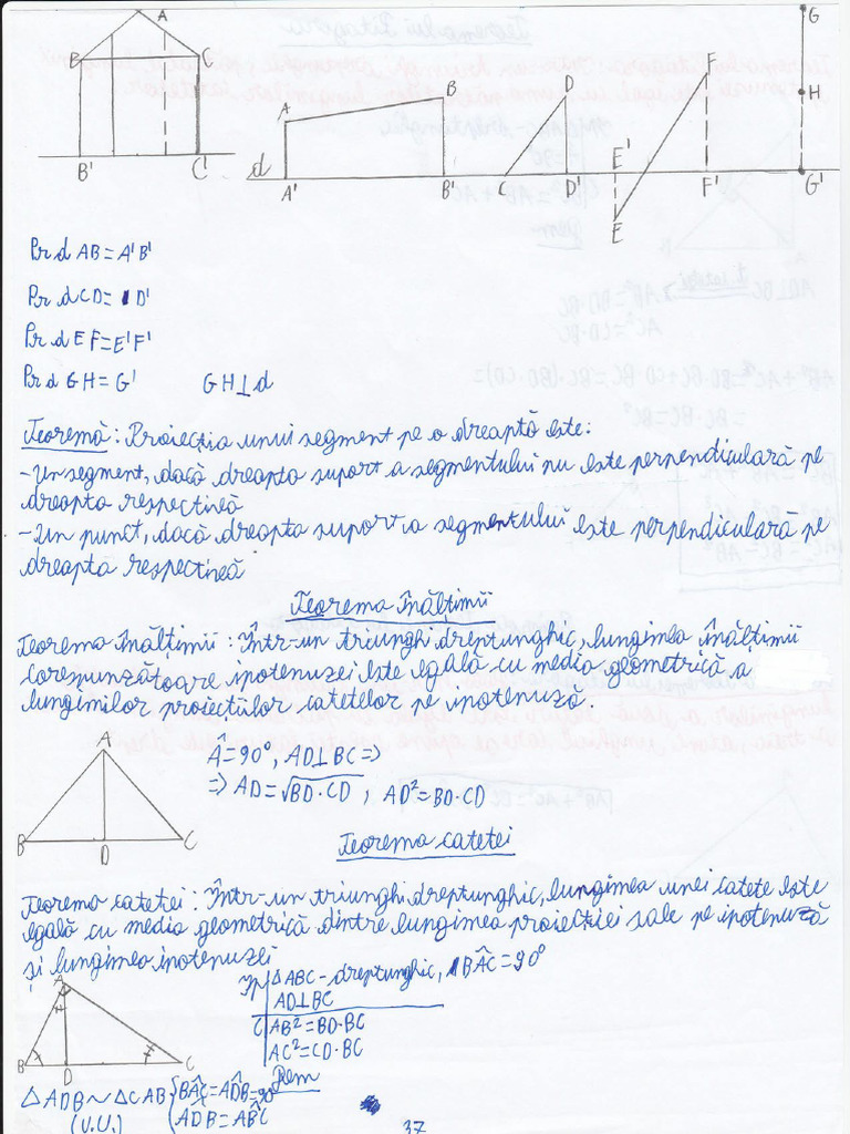 Matematica 5-8 Geometrie 37 | PDF