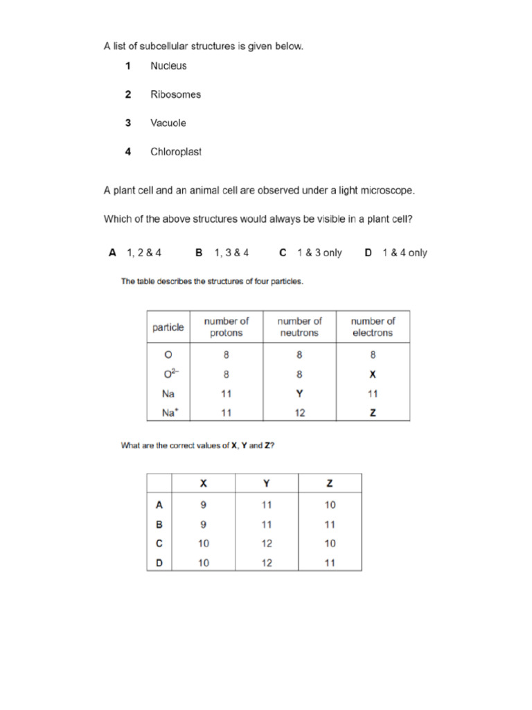 Practice Worksheet | PDF