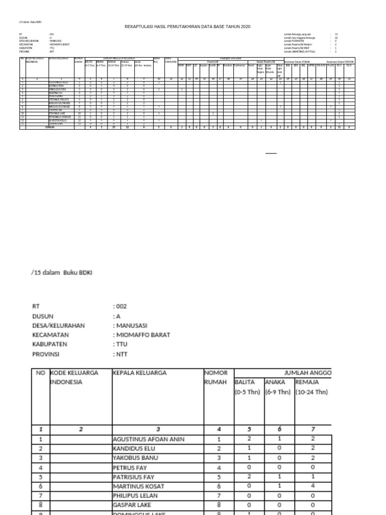 Format Rekapan DESA MANUSASI | PDF