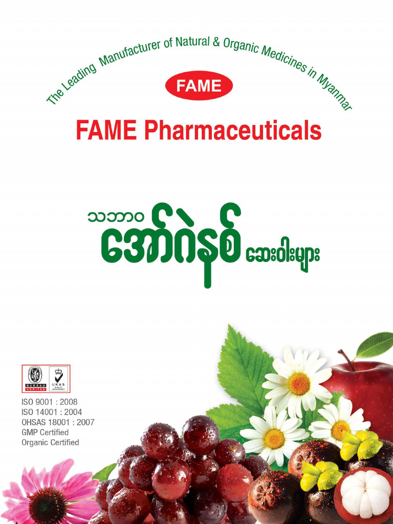 FAME Pamphlet Book | PDF