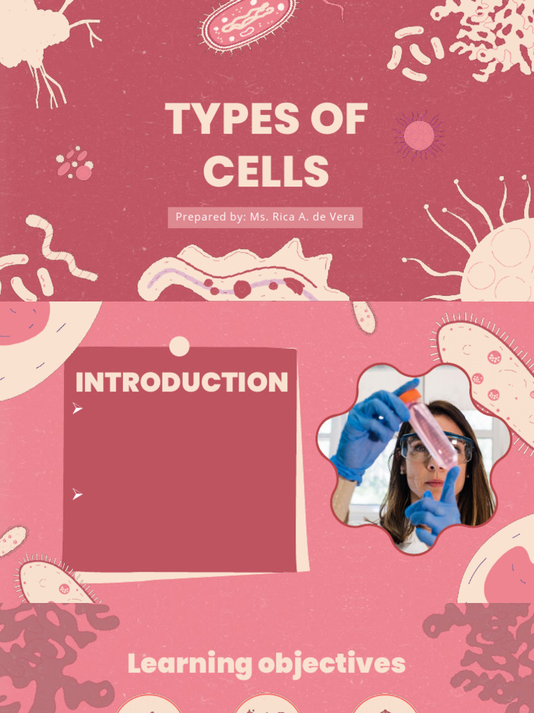 5.-Types-of-Cells-Cell-Modifications-Adaptations (1) | PDF | Cell (Biology) | Bacteria