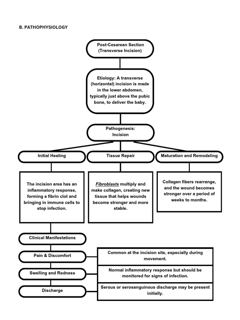 PATHO | PDF | Thrombosis | Medical Specialties