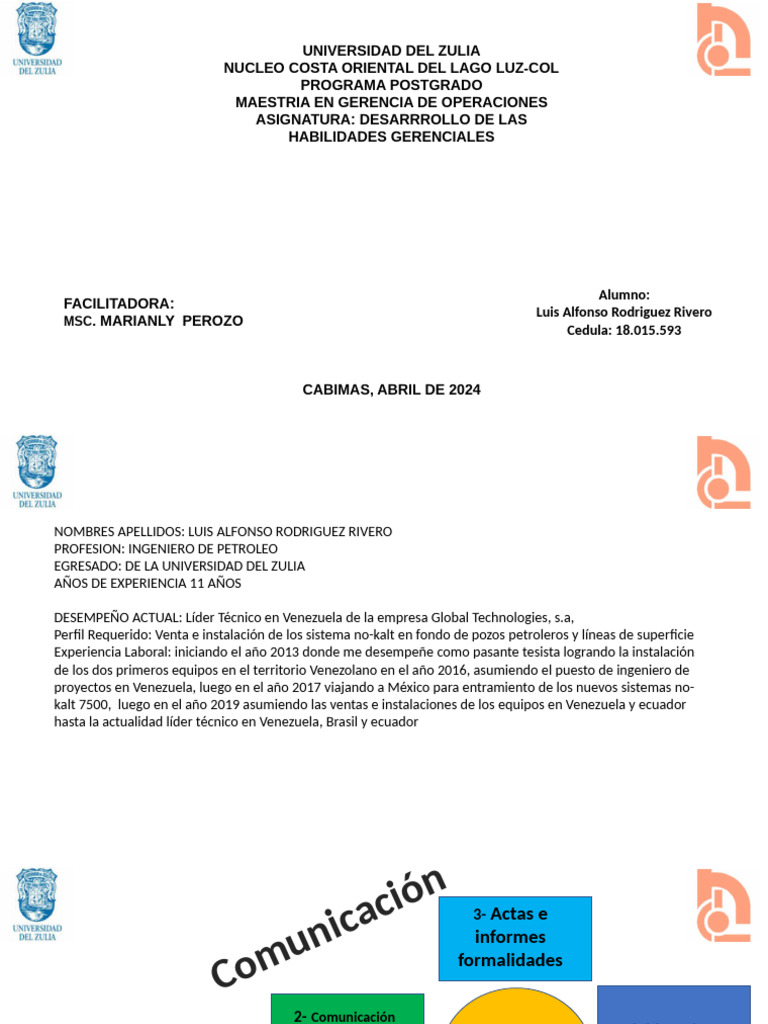 habilidades y destrezas gerenciales | PDF