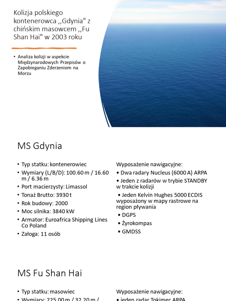 Prezentacja MPDM K.S | PDF