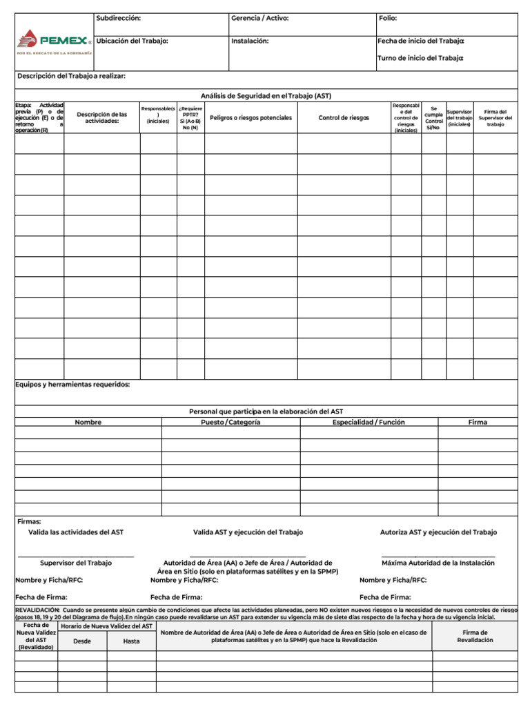 FORMATO AST Oficial | PDF