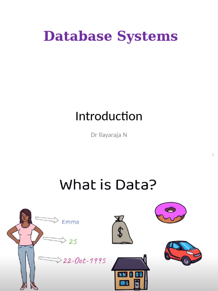NI_DBMS_Intro 2024 (1) | PDF | Databases | Sql