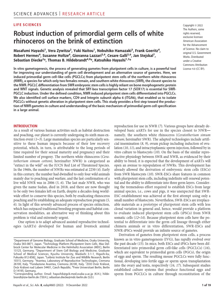 Hayashi Sciadv 2022 | PDF | Cellular Differentiation | Cell Potency