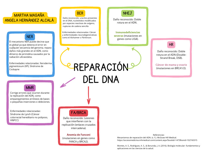 Mecanismos de Reparación Del DNA | PDF | Reparación de adn | Adn