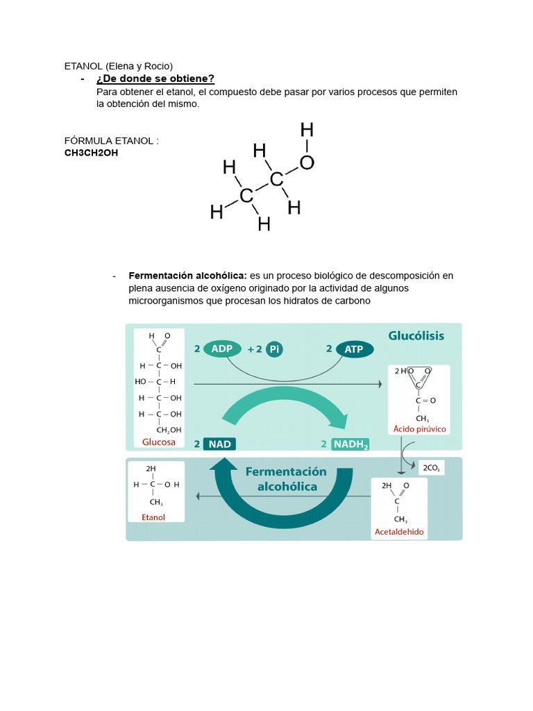 Etanol: Obtención y Efectos en la Salud | PDF | Etanol | Alcoholismo