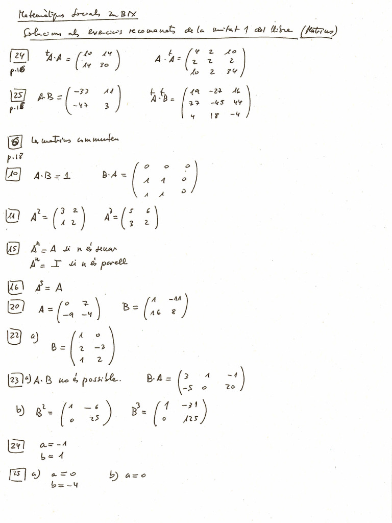 Solucions Ex. Recom. U.1 Matrius | PDF