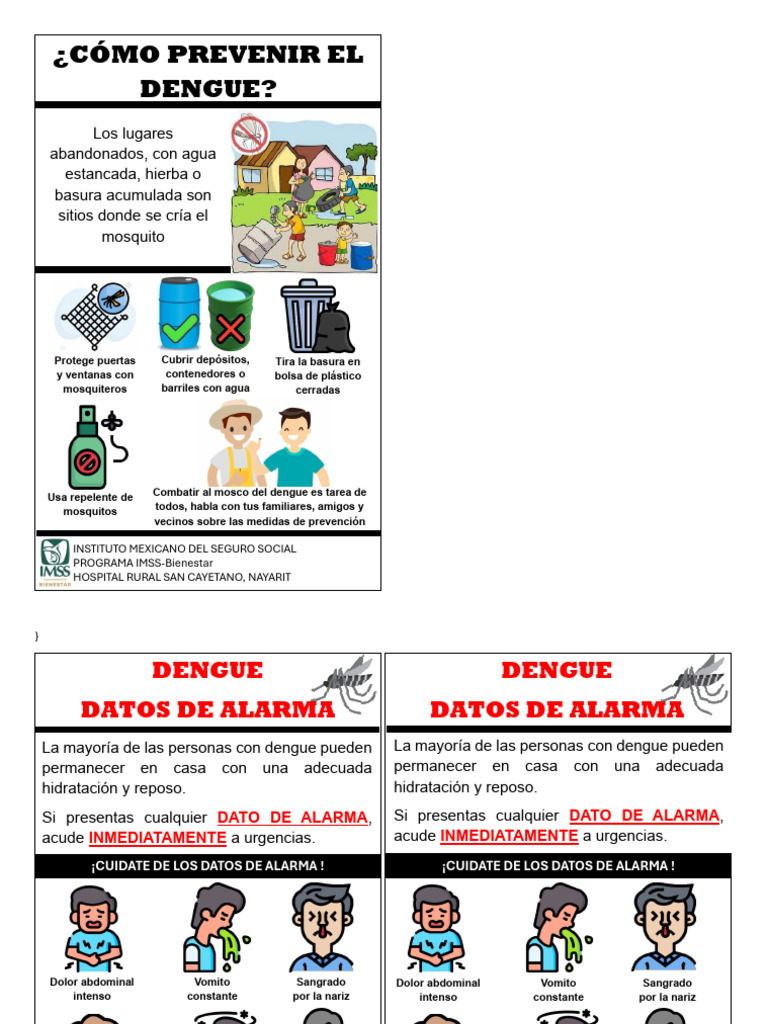 Dengue Poster | PDF