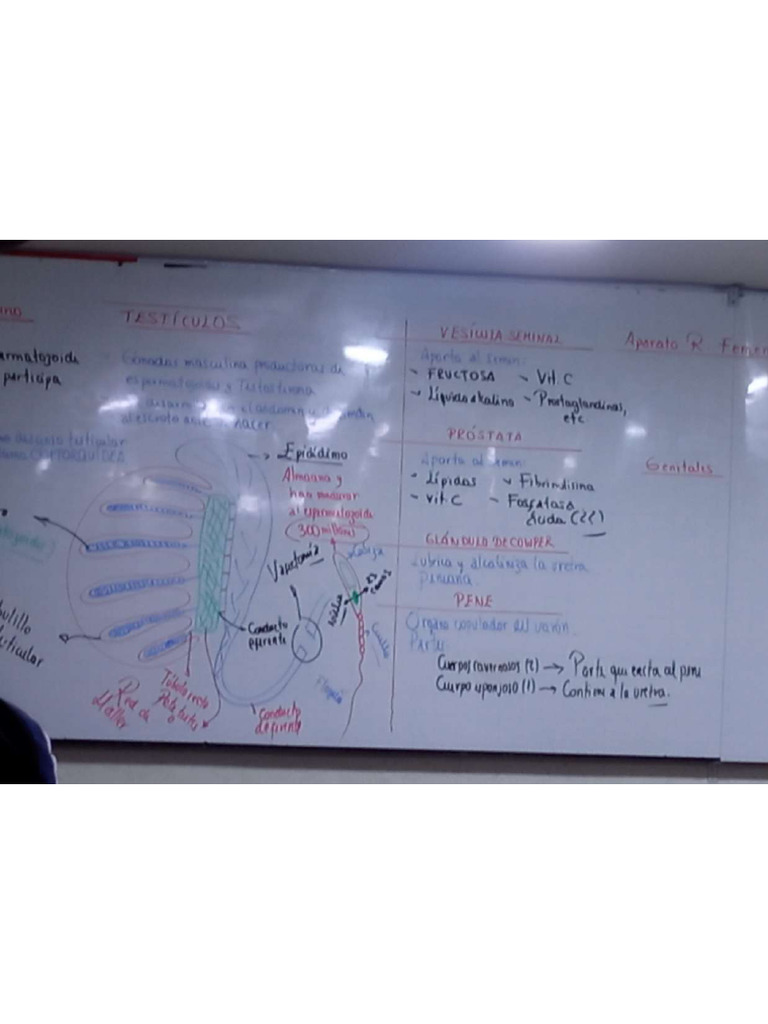 IMG_20241203_195704 | PDF