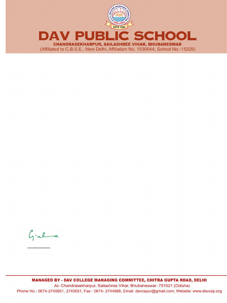 DAV United Festival 2024 Ticket Info | PDF
