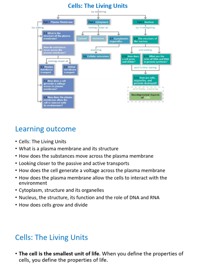 Week 3 - Cell - The Living Units | PDF | Translation (Biology) | Cell ...