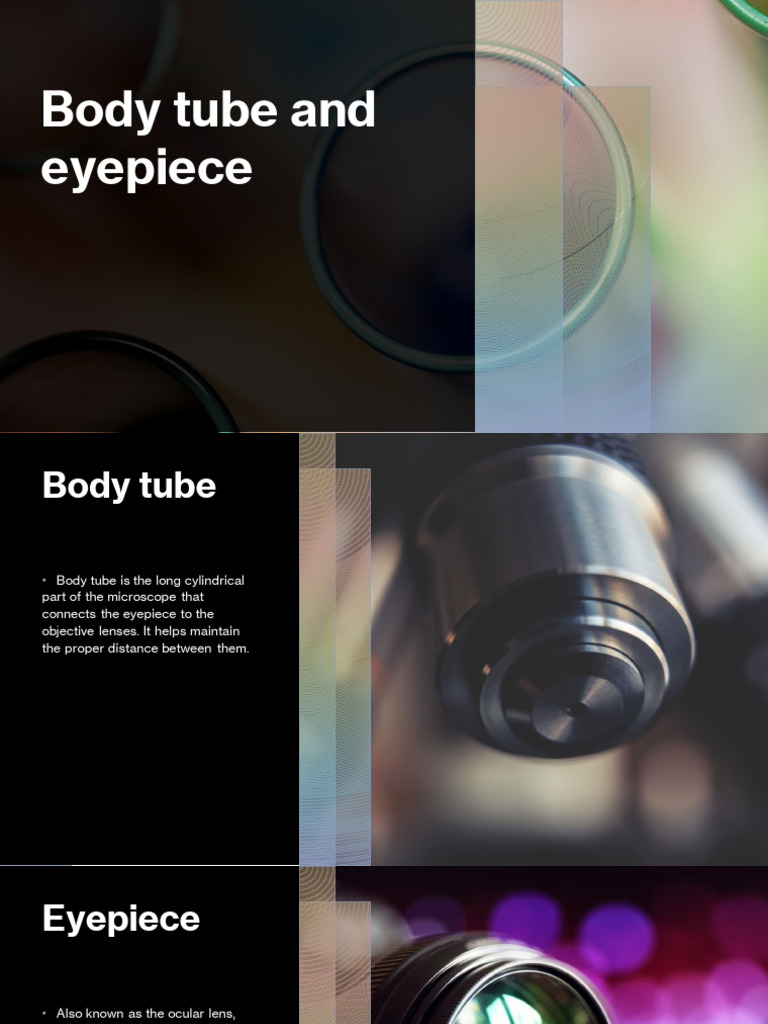 Presentation 9 | PDF