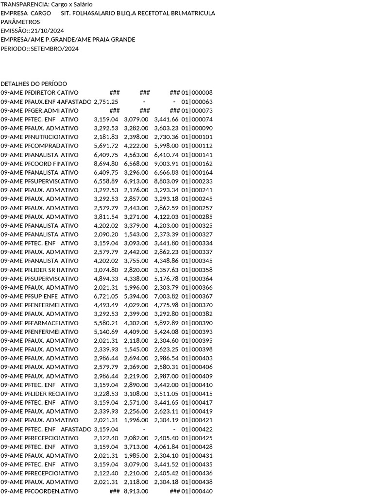 Ame PG 092024 Cargos Salarios | PDF