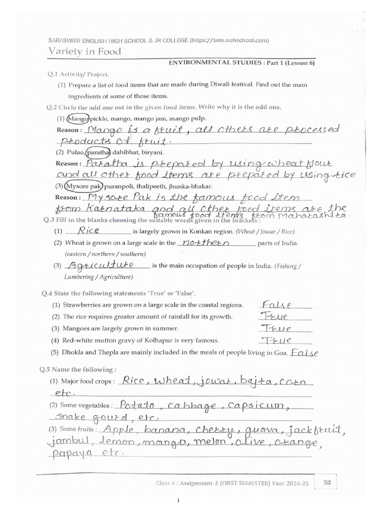 assignment-2-e-v-s-i-ii-pdf