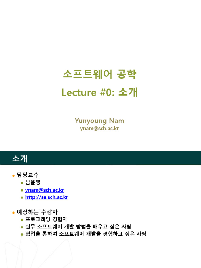 SE Lec 01 (Introduction) | PDF