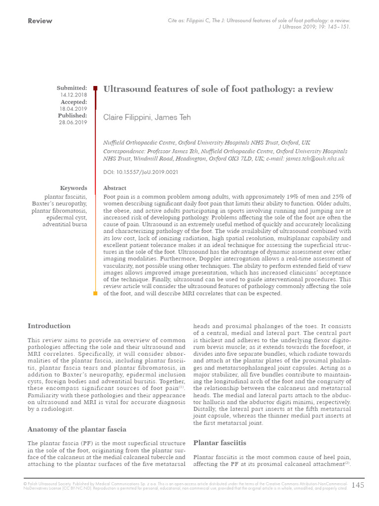 Foot Pathology USG | PDF | Musculoskeletal System | Limbs (Anatomy)