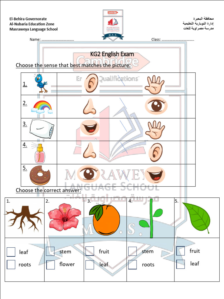KG2 November Science Exam | PDF