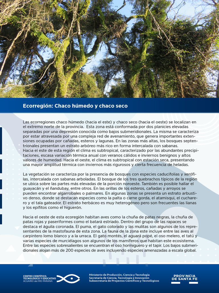 Ecorregion Chaco Humedo y Seco | PDF | Río | Ciencias de la Tierra