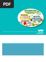 Comida Saludable Vs Comida Chatarra | PDF | Alimentos | Nutrición