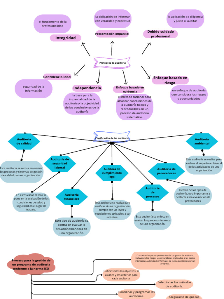 G22110270 FHV Act1 U3 | PDF | Auditoría | Business
