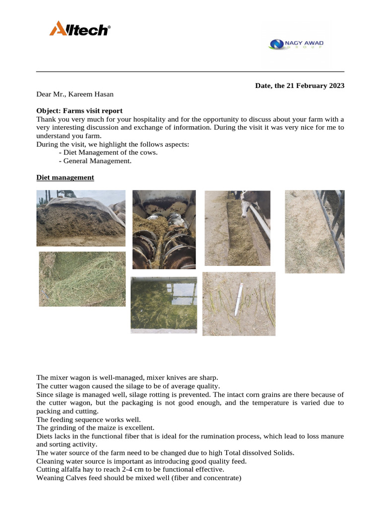 Farm Management and Diet Report | PDF | Maize | Food Industry