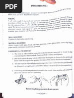 11th STD - BIOLOGY PRACTICAL BOOK | PDF