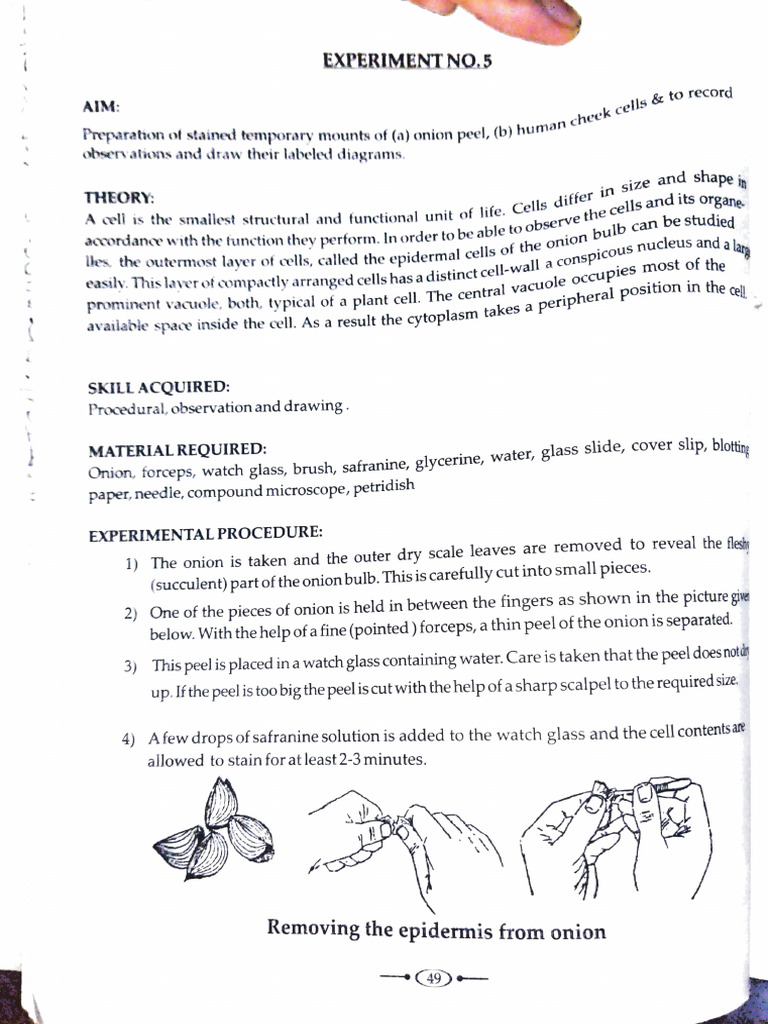 Science Practical Resource Book Biology | PDF | Tissue (Biology) | Axon