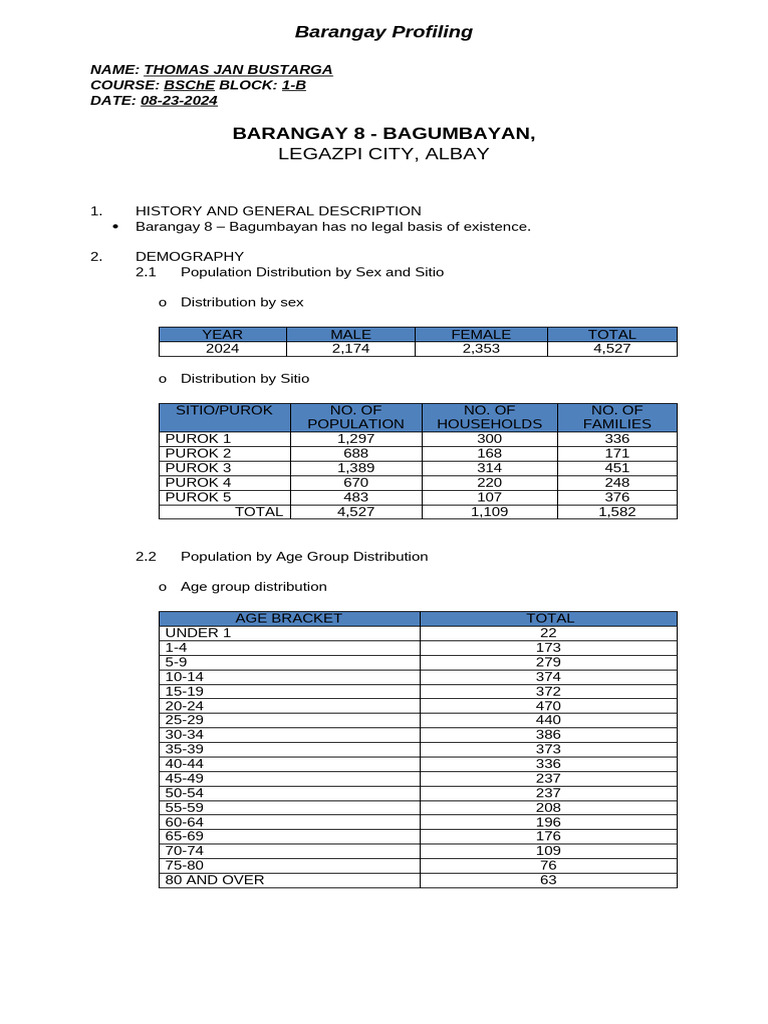 Barangay-Profiling-TEMPLATE (2) | PDF | Municipal Solid Waste | Waste Management