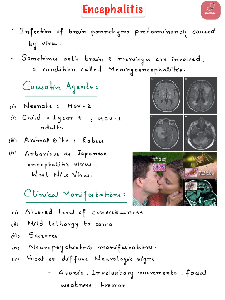 2. Encephalitis | PDF | Rabies | Causes Of Death