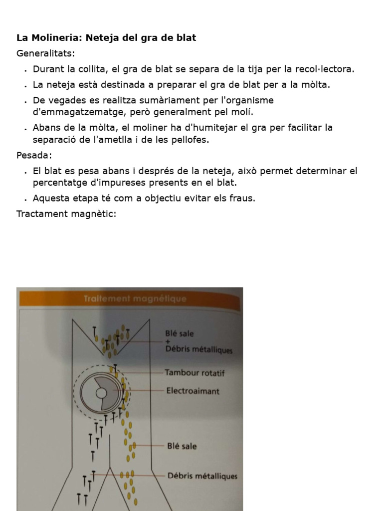 3 - El Moliner | PDF