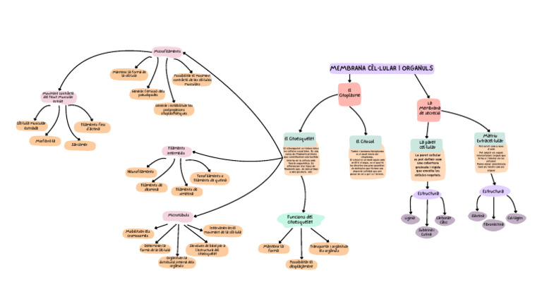 Membrana Cèl Lular I Organuls | PDF
