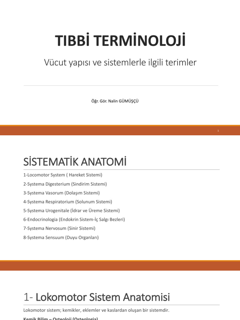 Vücut Yapısı Ve Sistemlerle Ilgili Terimler 2 | PDF