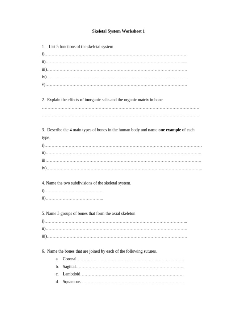 Skeletal System Worksheet | PDF | Vertebra | Musculoskeletal System