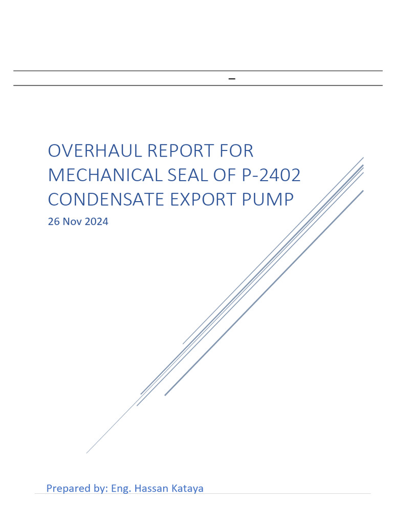 Step by Step Overhaul Report of Tandem Mechanical Seal | PDF | Pump | Machines