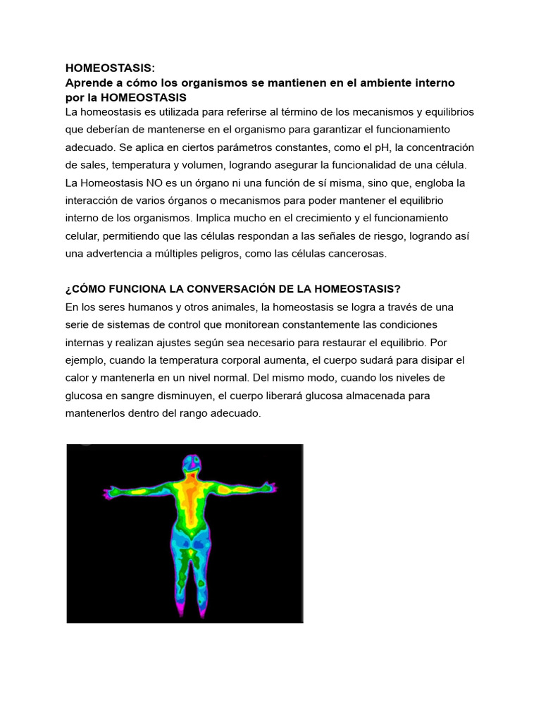 HOMEOSTASIS | PDF | Homeostasis | Biología