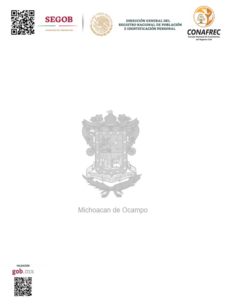 Acta Michoacan | PDF